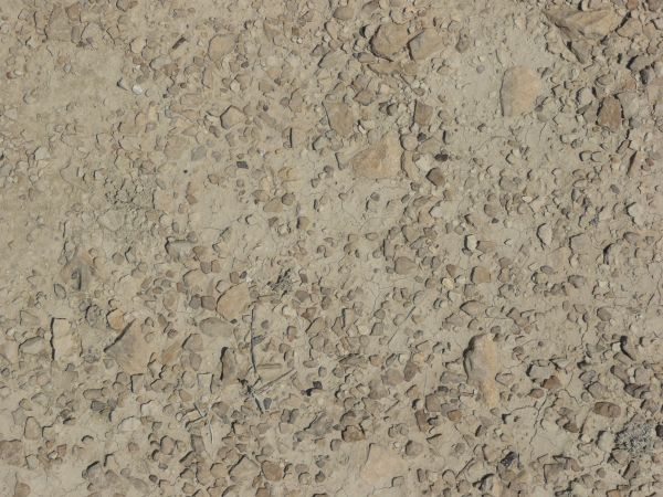 dry dirt with rocks 0005 - Texturelib